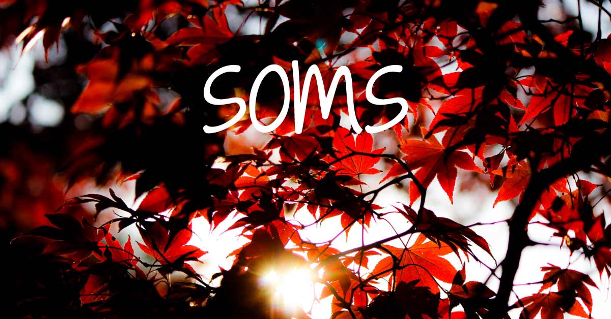 Soms zit het tegen | Mellow Coaching Training Blog