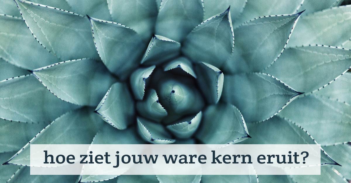 Mellow Coaching & Training: Doet wat met je